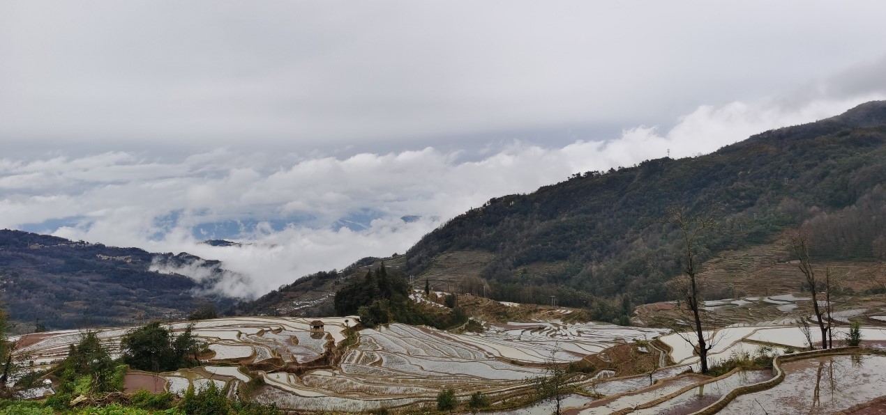A Fieldwork for carbon sequestration function of Hani Rice Terraced ...