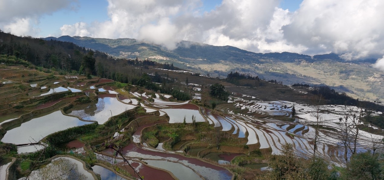 A Fieldwork for carbon sequestration function of Hani Rice Terraced ...