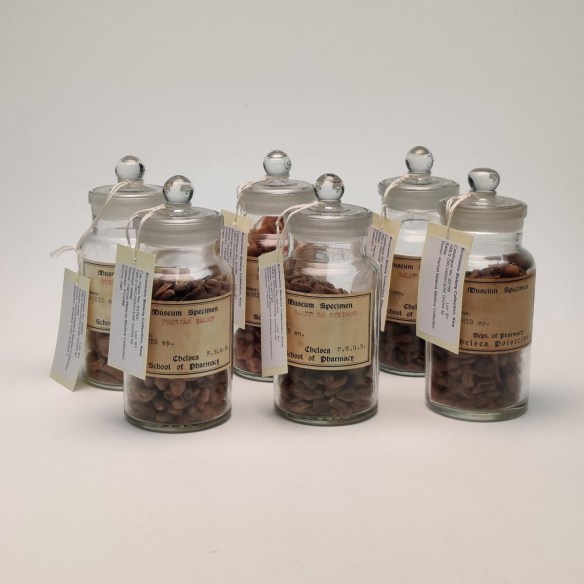 Economic Botany Collection at Kew – Society for Ethnobotany // Student Blog